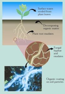 The Wet/Dry Cycle - Beyond The Drop
